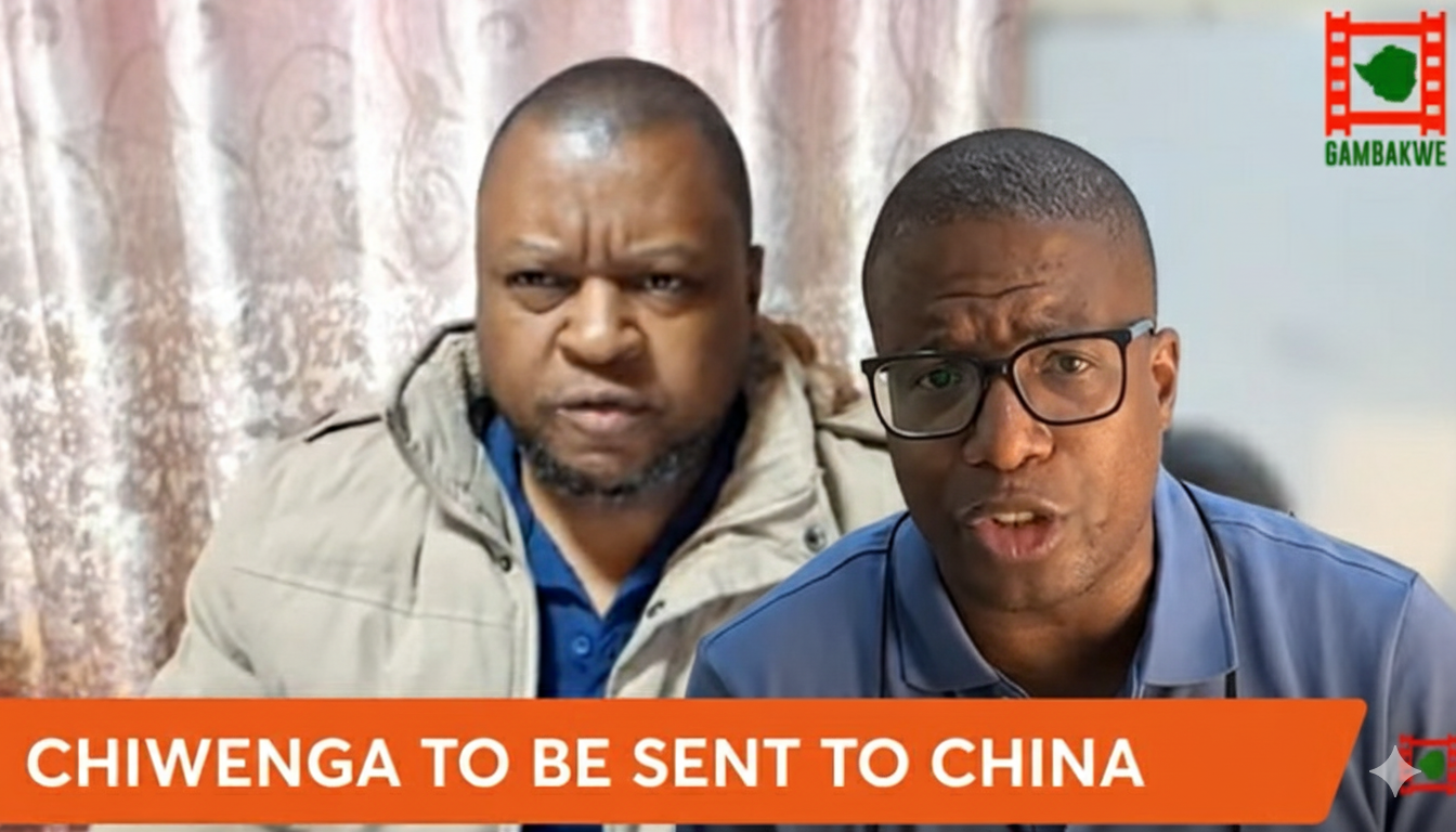 WATCH LIVE: Mnangagwa To Send Chiwenga To China - Acie Lumumba ...