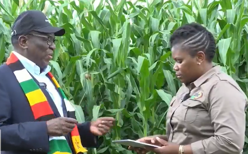 WATCH LIVE: Mnangagwa Threatens To Fire Ministers - Gambakwe Media
