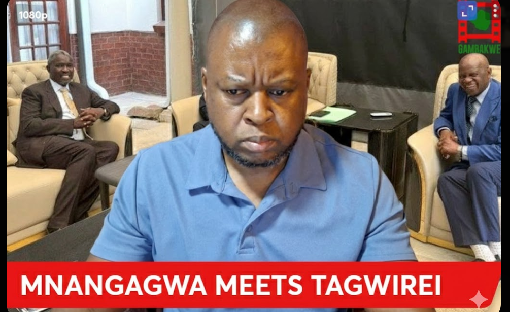 WATCH LIVE: Tagwirei Meets With Mnangagwa - Gambakwe Media