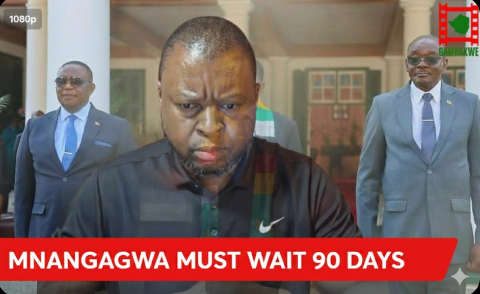 WATCH LIVE: Mnangagwa Has To Wait 90 Days To Change Constitution ...