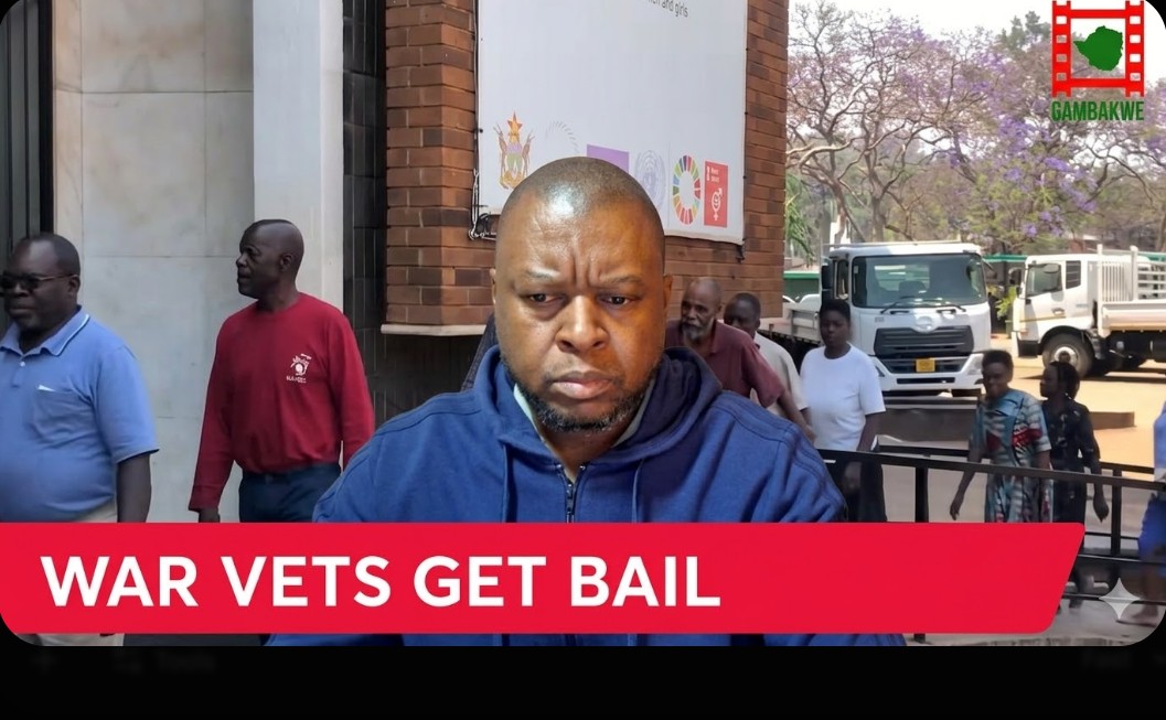 WATCH LIVE: Mnangagwa Frees Zimbabwe War Veterans After 6 Months In ...